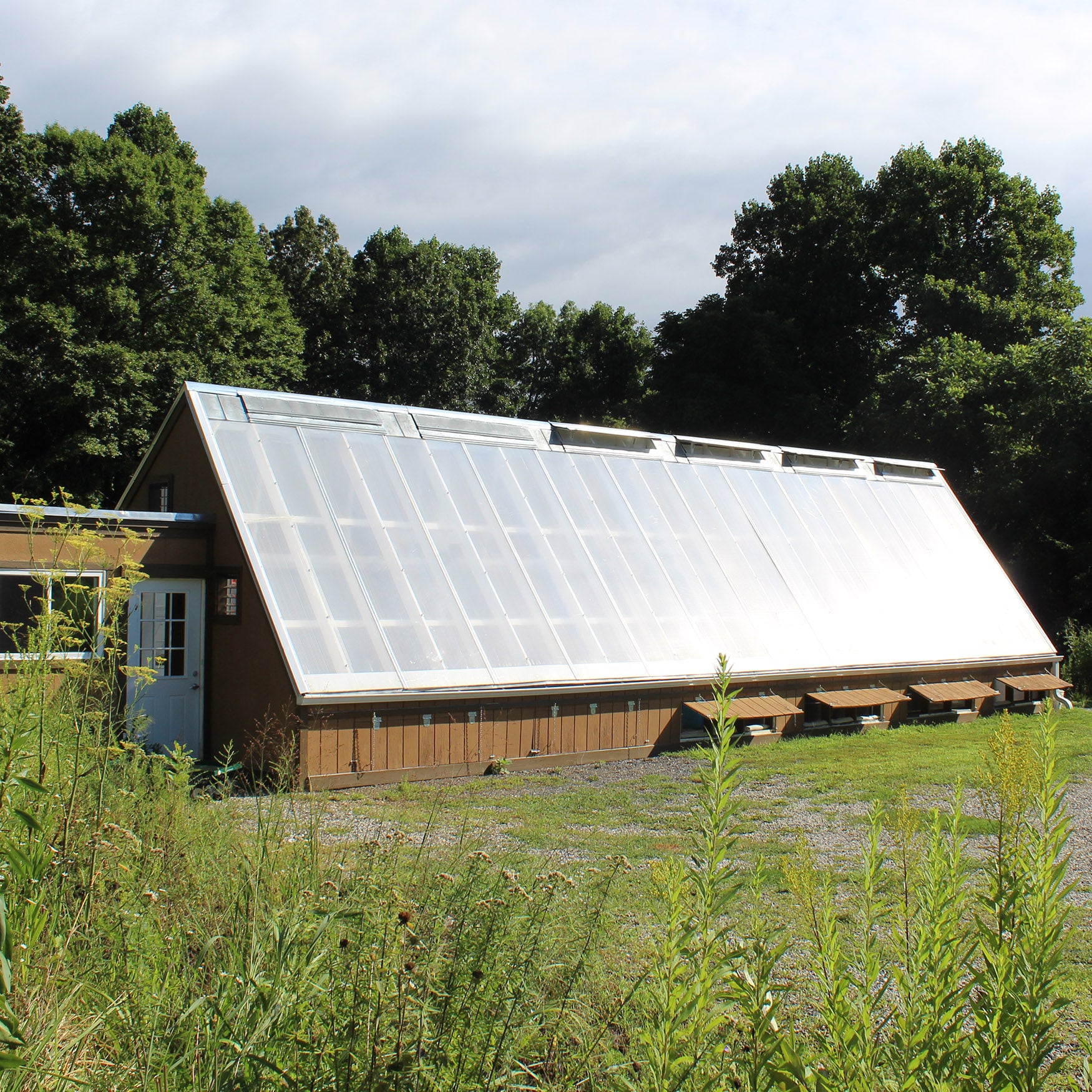 Passive Solar Greenhouse Tour | M R Gardens